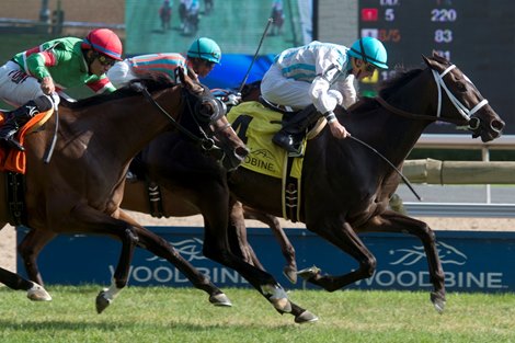 'Glenville' Makes Grade With Strong Rally - BloodHorse