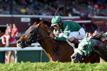 Ring Weekend - Horse Profile - BloodHorse