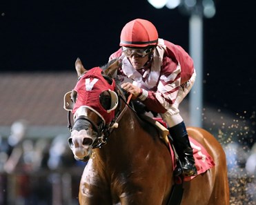 Rise Up - Horse Profile - BloodHorse