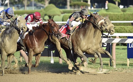 Shaman Ghost - Horse Profile - BloodHorse