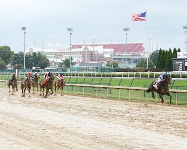 Not This Time - Horse Profile - BloodHorse