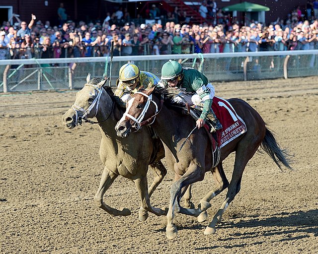 Tapit's World - Features - BloodHorse.com