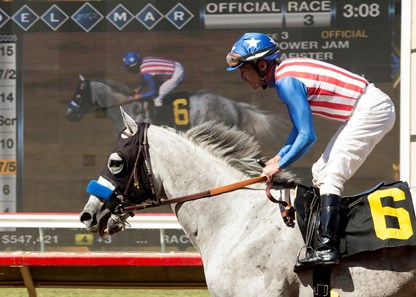 Power Jam - Horse Profile - BloodHorse