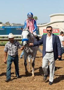 Power Jam - Horse Profile - BloodHorse