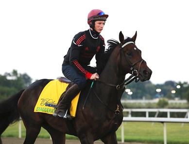 Exaggerator - Horse Profile - BloodHorse