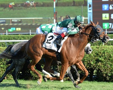 Ring Weekend - Horse Profile - BloodHorse