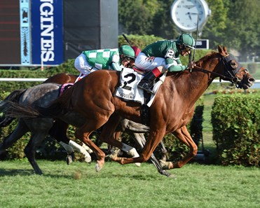 Ring Weekend - Horse Profile - BloodHorse