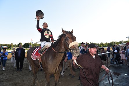 Shaman Ghost - Horse Profile - BloodHorse