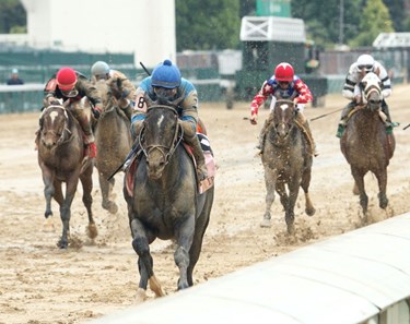 Not This Time - Horse Profile - BloodHorse