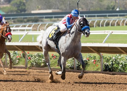 Power Jam - Horse Profile - BloodHorse