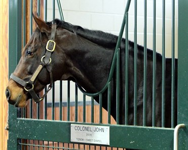 Colonel John - Horse Profile - BloodHorse