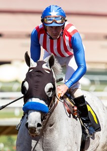 Power Jam - Horse Profile - BloodHorse