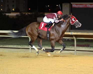 Rise Up - Horse Profile - BloodHorse