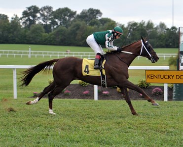 Regally Ready - Horse Profile - BloodHorse