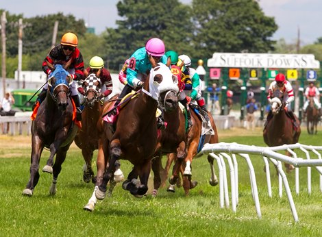 Plans in Motion to Bring Racing Back to Massachusetts - BloodHorse