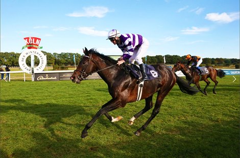 Late Campanologist Gets First Stakes Winner - BloodHorse