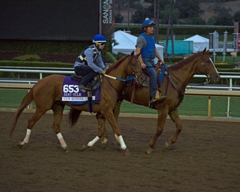 Gun Runner Works, Likely in Dirt Mile - BloodHorse