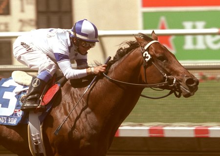 The Candy Man Can - BloodHorse