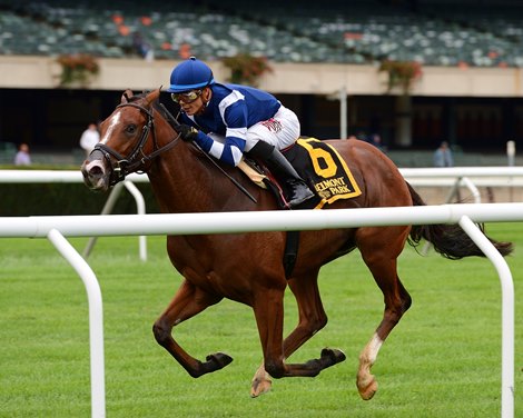 Oscar Performance Draws Off to Win Pilgrim - BloodHorse