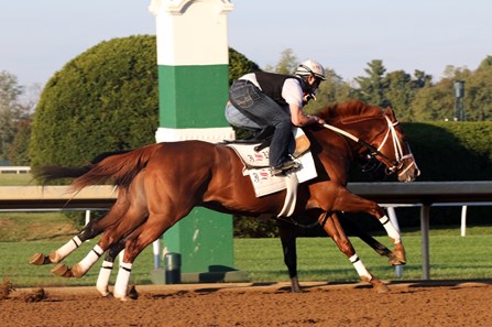 Dolphus - Horse Profile - BloodHorse