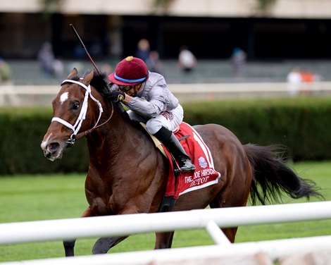 Ectot Stuns Flintshire in Hirsch Turf Classic - BloodHorse