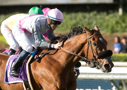 Vyjack - Horse Profile - BloodHorse