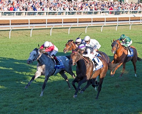Miss Temple City Scores in Shadwell Turf Mile - BloodHorse
