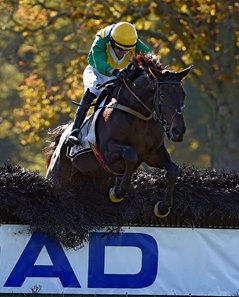 Rawnaq Reigns as Champion Steeplechaser - BloodHorse