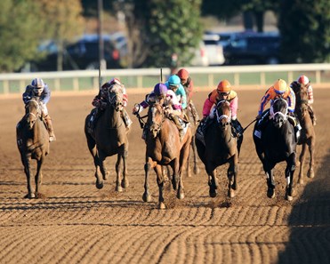 Lightstream - Horse Profile - BloodHorse