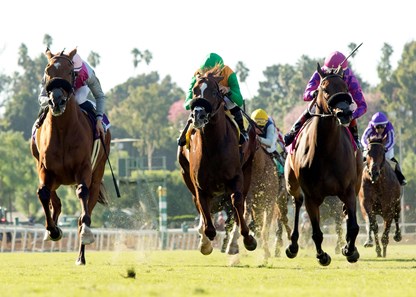 Vyjack - Horse Profile - BloodHorse