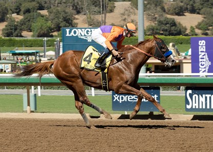 Lord Nelson - Horse Profile - BloodHorse