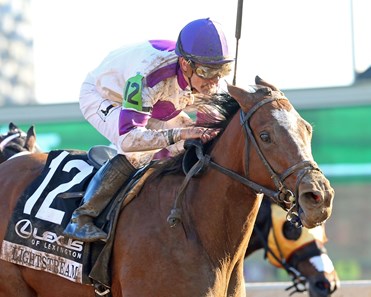 Lightstream - Horse Profile - BloodHorse