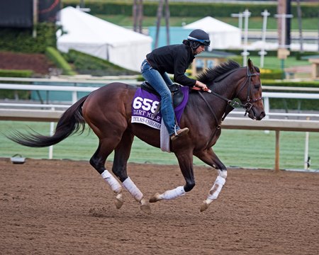 Texas Chrome Named Texas Horse of the Year - BloodHorse