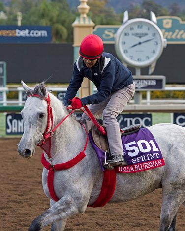 'Bluesman' Hopes for Redemption in Mr. Prospector - BloodHorse