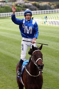 Winx - Horse Profile - BloodHorse