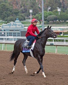 Not This Time - Horse Profile - BloodHorse