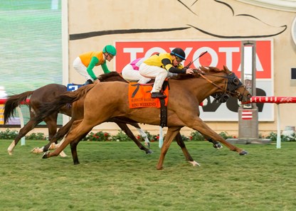 Ring Weekend - Horse Profile - BloodHorse