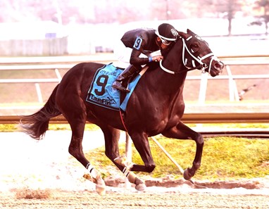 Sharp Azteca - Horse Profile - BloodHorse