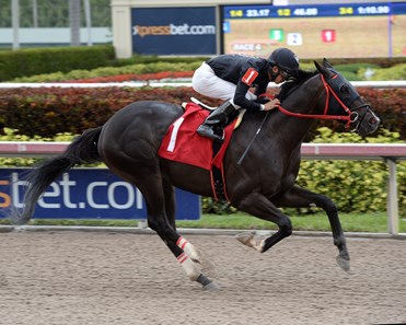 Sharp Azteca - Horse Profile - BloodHorse