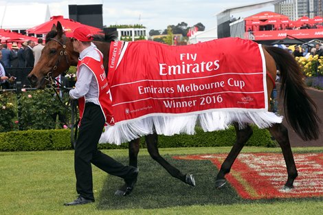 Monsun Progeny Continue Impact on Melbourne Cup - BloodHorse