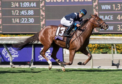 Oscar Performance Golden in Juvenile Turf - BloodHorse