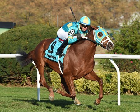 Maker Chases Fourth Straight Connally Turf Cup - BloodHorse