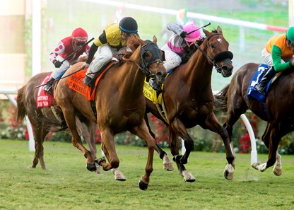 Ring Weekend - Horse Profile - BloodHorse