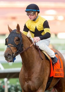 Ring Weekend - Horse Profile - BloodHorse