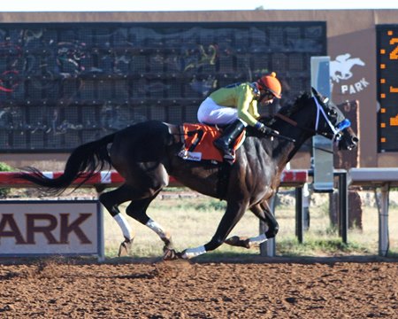 Zia Park Posts Handle Records - BloodHorse