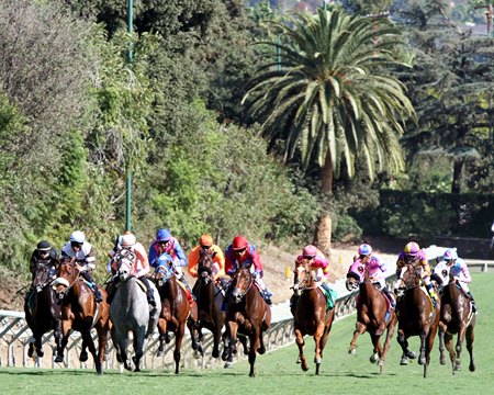 Hillside Turf Sprints Return at Santa Anita in Autumn - TrueNicks.com