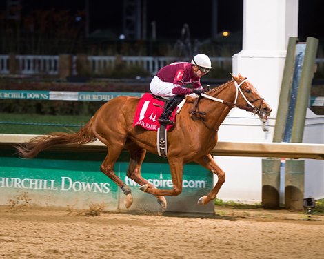 Gun Runner Overcomes Elders in Clark - BloodHorse