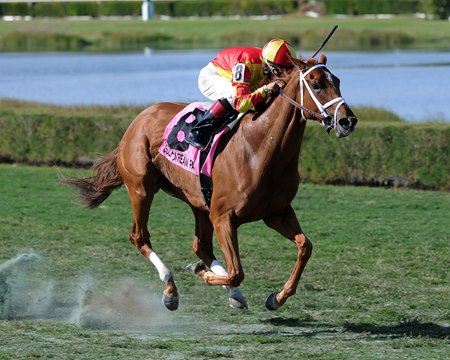 Isabella Sings Wires My Charmer - BloodHorse