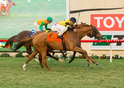 Ring Weekend - Horse Profile - BloodHorse