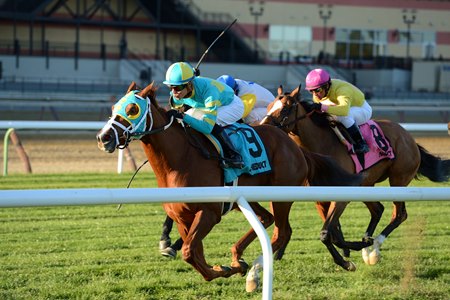 Bigger Picture Makes the Grade in Red Smith - BloodHorse